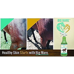 Big Mare All Purpose Horse Skin & Wound Care | 32oz Bottle | First Aid: for Girth Itch, Crud, Itchy Manes & Tails & Hair Loss | Veterinarian Approved & Recommended