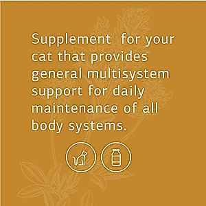 Standard Process - Feline Whole Body Support - Daily Supplement for Cats - 90 Tablets