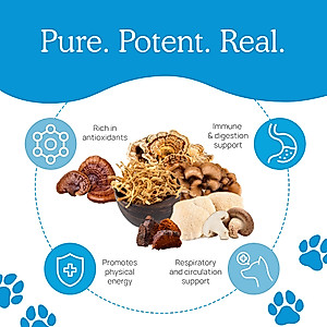 Daily Dawg Mushroom Extract Powder Support - (2.65 oz) Bulk Mushroom Powder Supplement & Dog Vitamins with Real Mushrooms Lion's Mane, Cordyceps Mushroom, Turkey Tail, Reishi & Shiitake