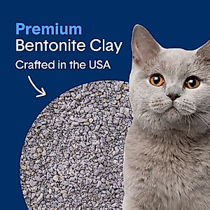 Boxie® Gently Scented 30 Day Natural Odor Control Cat Litter, 40lb Clumping Clay Kitty Litter