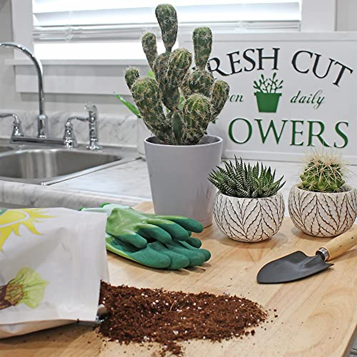 Coco Peat Perlite Potting Mix (2 Quarts), Loose Coconut Coir and Perlite