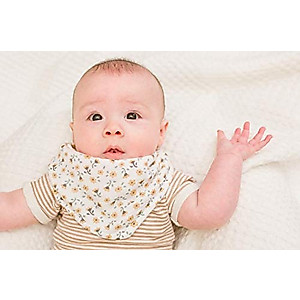 lulujo Soft Cotton Baby Bib, 2 Pack, Vintage Floral/ Dragonfly