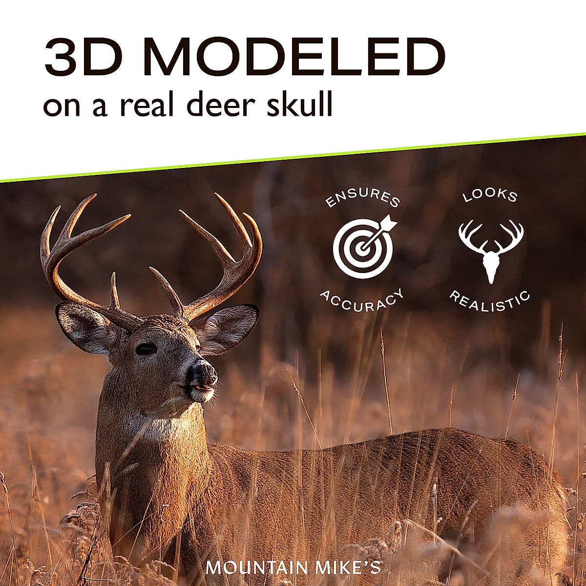 Mountain Mike’s Skull Master - European-Style Mount Kit for Antlers - for Antlers Larger Than 4 ⅞” Diameter - Compatible with Harvested and Shed Antlers - White (Large)…