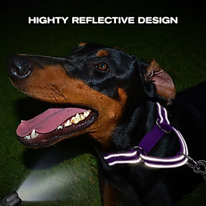 Joytale Martingale Collar for Dogs, Reflective Heavy Duty Dog Collar for Safety, Quick Release Buckle, Adjustable Nylon Collars for Medium Dogs Walking Training, Purple,M