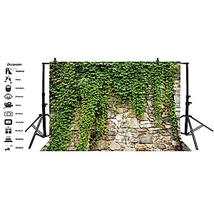 Leyiyi 10x8ft Spring Garden Leaves Backdrop Gardening Plants Grunge Stone Wall Greenery Banner Vane Branch Cover Vintage Architecture Photo Background Wedding Kids Birthday Photo Studio Vinyl Prop