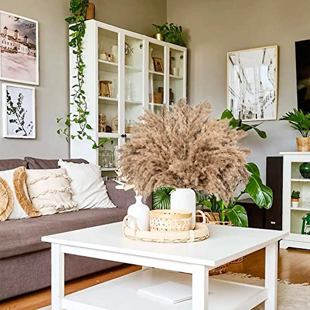 HUMINBO Pampas-Grass Pompous Dried Pampass Plants Fluffy Pompas Grasses 30 Stems Small Pompus Short