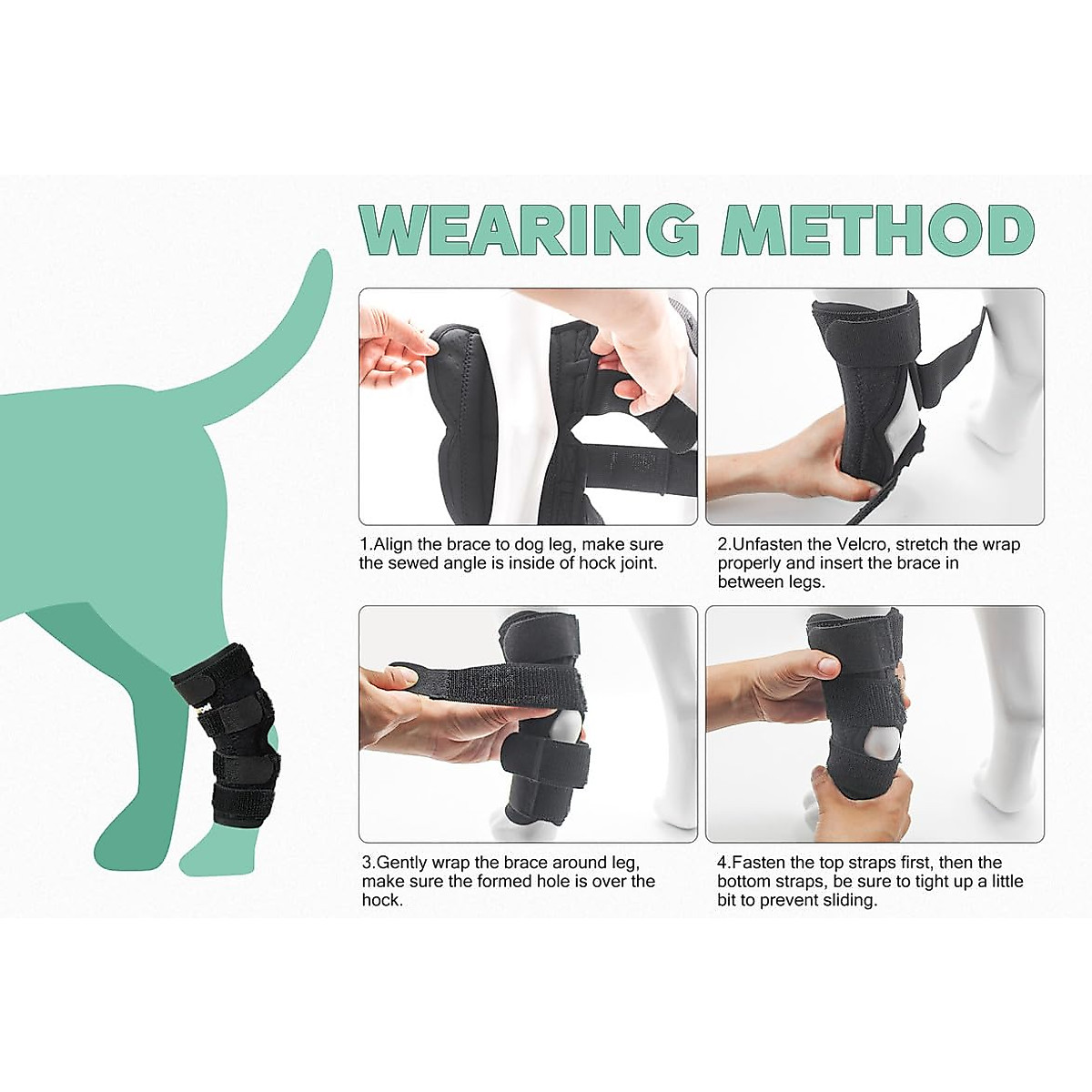 Lyderpet Dog Leg Brace for Hind Hock Joint, Rear Ankle Compression Wrap with Metal Strips Strong Support for Torn ACL & CCL, Prevents from Injury and Sprain, Helps with Wounds Care and Arthritis (S)