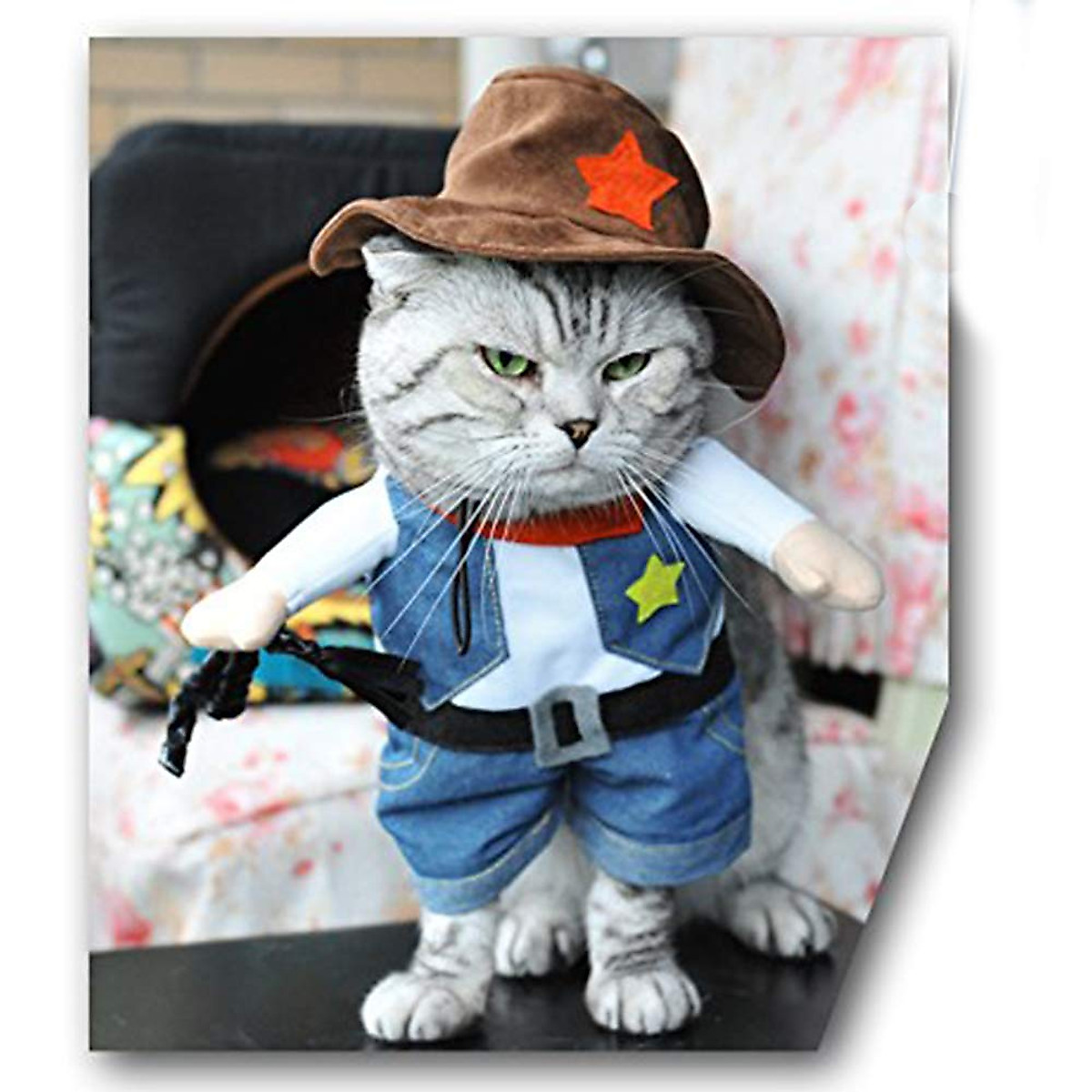 NACOCO Cowboy Dog Costume with Hat Dog Clothes Halloween Costumes for Cat and Small Dog (Small)