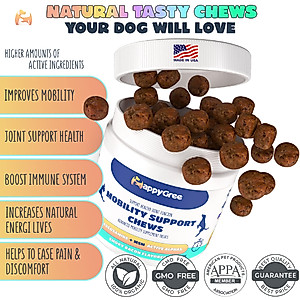 Best Natural Health Supplements for Dogs, Various Formulas & Benefits - Vet Recommended, 170 Natural Soft Chews - Smoky Bacon Flavor, Made in The USA (Hip&Joint Mobility Support)