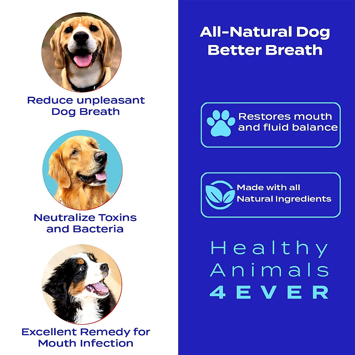 HealthyAnimals4Ever Bad Breath for Dogs Pellets - Dissolvable - No Brushing - for Clean Teeth, Plaque & Tartar Control - All-Natural, Non-GMO, Organic - Preservative & Chemical Free - 300 ct