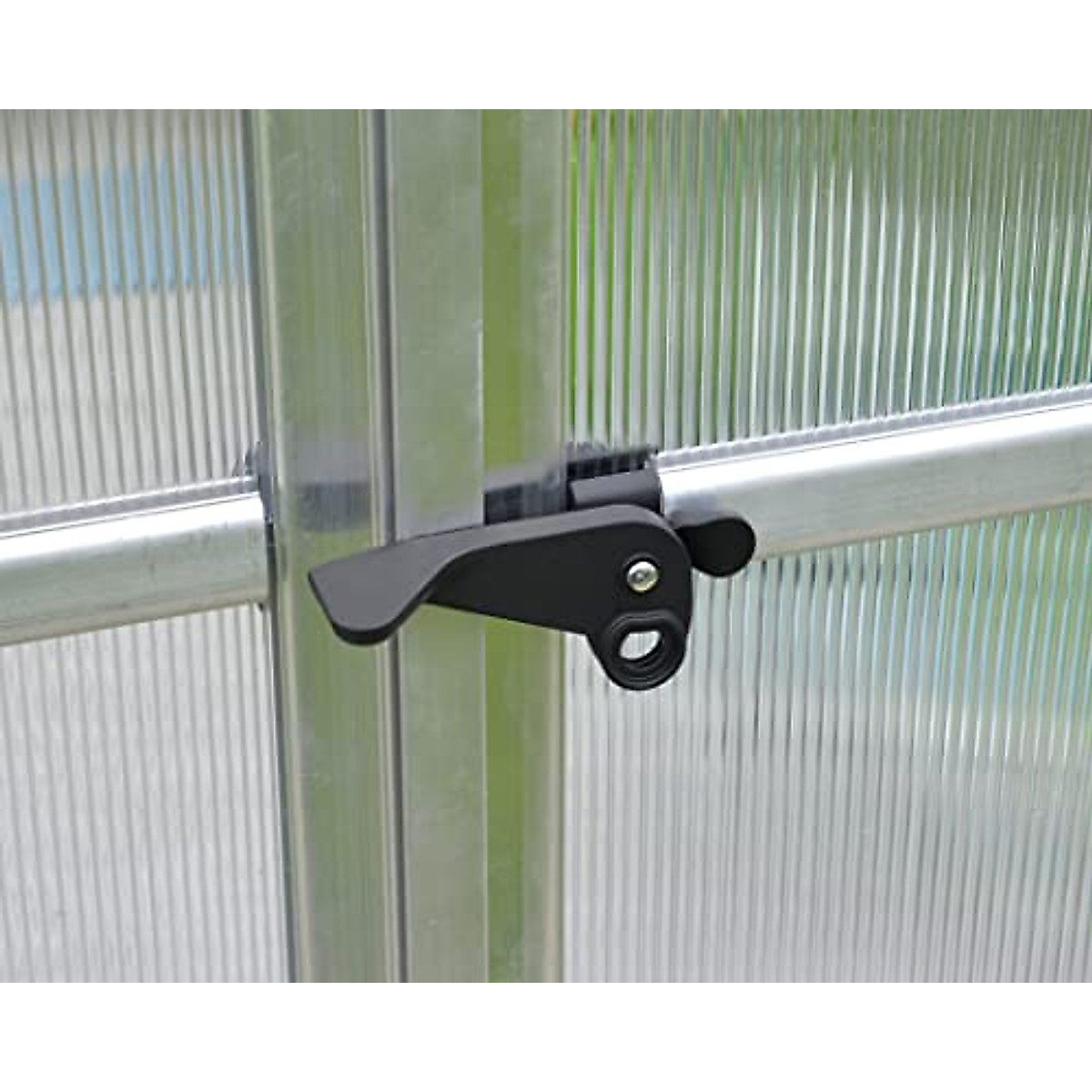 Palram - Canopia Bella Hobby Greenhouse, 8' x 8', Silver with Twin Wall Glazing