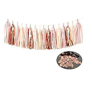Sogorge 15 Pcs 14 Inches Tissue Paper Tassel Garland Rose Gold Foil Pink and Ivory Tassel Garland Free Rose Gold Paper Confetti 10g for Weddings Birthday Bridal Shower Baby Showers Decor(Rose Gold)