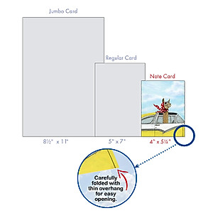 The Best Card Company Assorted Blank Greeting Card Box Set - Incl. 20 Cards + Envelopes - 10 Unique Designs - Perfect for Thank Yous, Invitations, More - Driving Divas AM9276OCB-B2x10