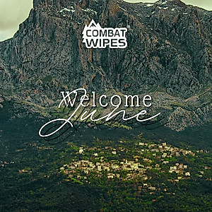 Combat Wipes ACTIVE Outdoor Wet Wipes - Extra Thick Camping Gear, Biodegradable, Body & Hand Cleansing/Refreshing Cloths for Backpacking & Gym w/Natural Aloe & Vitamin E(4 packs, 25 wipes each)