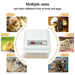 16 Eggs Incubator for Chicken Eggs, Led Candler Automatic Egg Turner Temperature Control,Poultry Hatcher for Chick, Duck, Quail, Goose Eggs