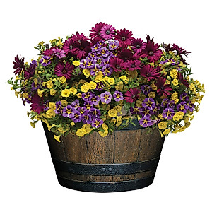 Classic Home and Garden Whiskey Plastic Resin Flower Pot Barrel Planter, Walnut Brown, 20.5" (Pack of 3)