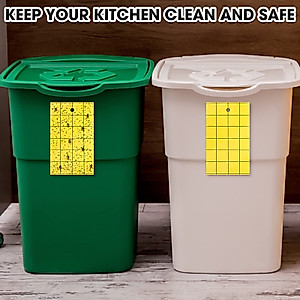 200 Pcs Dual Side Sticky Fruit Fly Trap with Tie, Yellow Sticky Traps for Gnats, 3 * 5 Inch Plant Sticky Trap for Flying Insect Fungus Bugs Sticky Catcher Trap, Sticky Trap for Indoor Outdoor