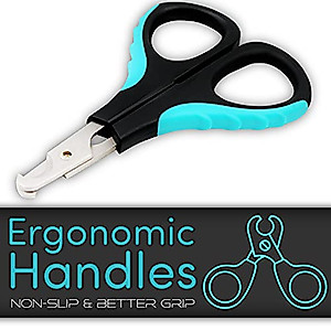 H&H Pets Nail Clippers Series - for Cats and Dogs - Razor Sharp Blades Sturdy Non Slip Handles - Dog Accessories Professional at Home Grooming - Stainless Steel - Dog Nail Trimmers - XS (Cats & Birds)