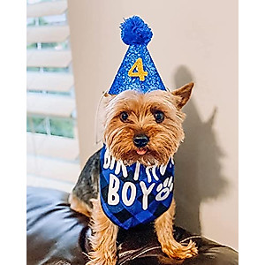 ENJOYING Pet Dog Bandana Doggy Birthday Party Supplies Plaid Dog Bandanas Scarf Pet Birthday Hat with Number for Small Medilum Dogs and Cats, Blue