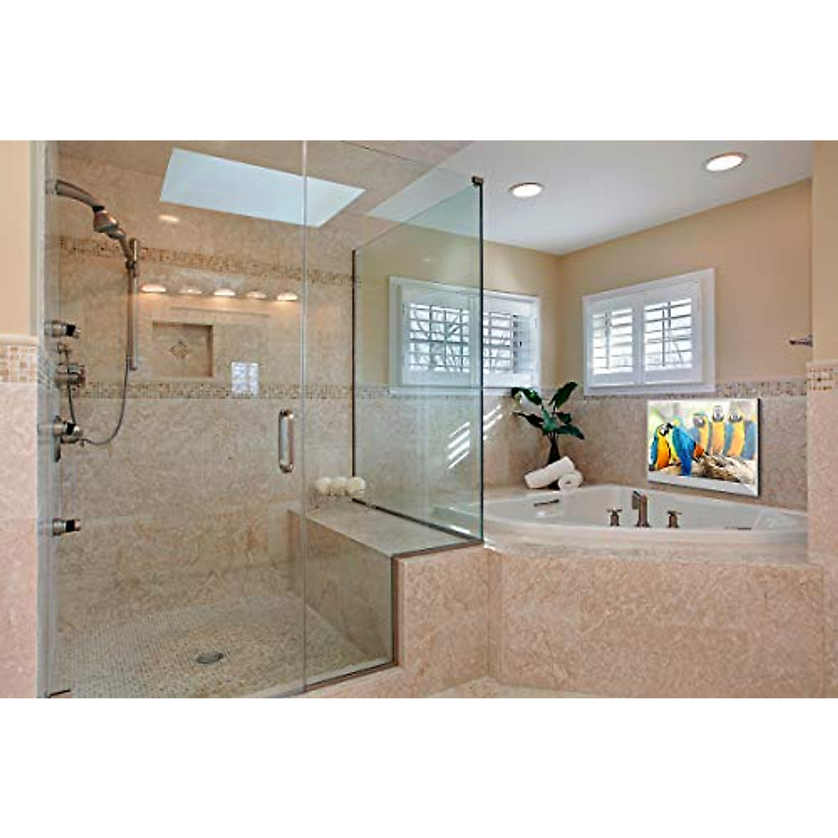 Soulaca 32 inch Bathroom Smart TV Mirror LED Television Waterproof WiFi Bluetooth Android SPA Big Screen 2022 Model (Android 11.0)