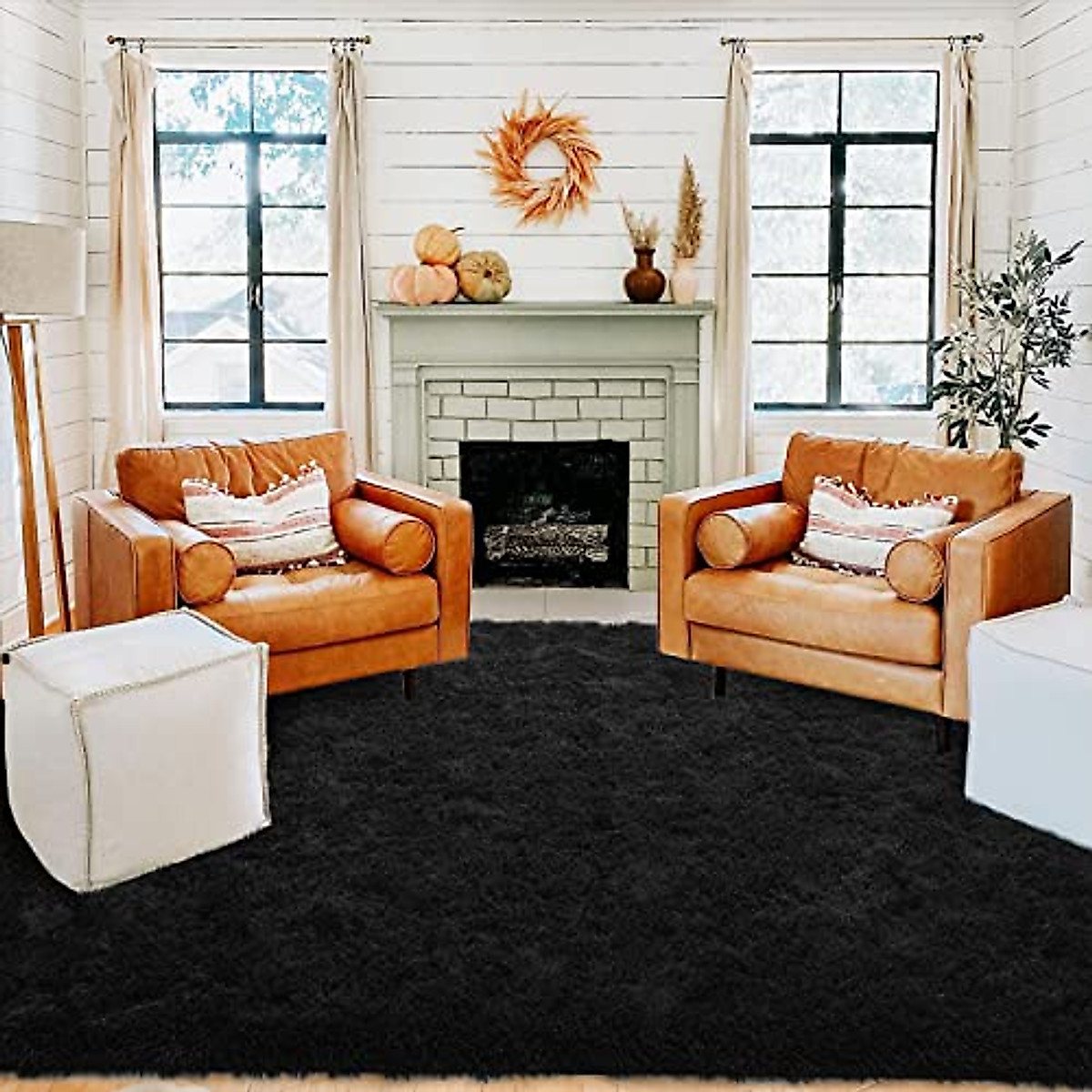 ISEAU Black Rug Carpets Soft Shaggy 4x6 Feet Rugs for Bedroom Living Room, Fluffy Area Rug Floor Rug, Fuzzy and Comfy Carpet Nursery Shag Rug for Kids Boys Room Decor