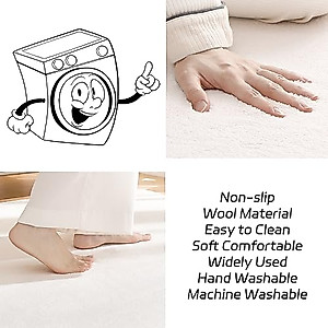 Blue Cool Checkered Area Rugs for Kitchen 3x4ft/36x48in/90x120cm, Living Room Bedroom Area Rug Fluffy Plush High Pile Carpet