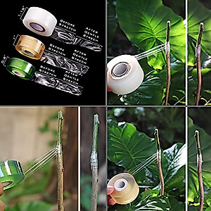 [6 Blades Enhanced] NAYE 2 in 1 Garden Grafting Tool Kit for Fruit Trees with Grafting Knife Grafting Tapes,Extra Replacement Blades Included,Professional Grafting Scissor Shear