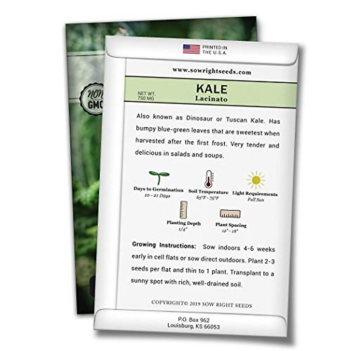 Sow Right Seeds - Lacinato Kale Seed for Planting - Non-GMO Heirloom Packet with Instructions to Plant a Home Vegetable Garden, Great Gardening Gift (1)