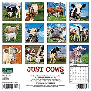 Just Cows 2021 Wall Calendar