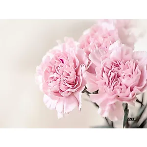 Flower Pink Carnation Floral Kitchen Glass Cutting Board Decorative Gift For Mom Design