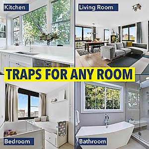 B&G Clear Window Fly Traps (30-Pack), Clear Fruit Fly Sticky Traps, Gnat Flypaper, Non-Toxic Glue, Odorless House Fly Strips, Durable Sticky Fly Traps for Indoors, Fly Paper Indoor for Home