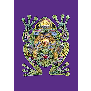 Toland Home Garden 119609 Animal Spirits- Frog Frog Flag 12x18 Inch Double Sided Frog Garden Flag for Outdoor House Indigenous Flag Yard Decoration