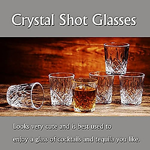 Valeways 1.75oz Mini Shot Glass Set of 6/Clear /Tasting Glasses/Cordial Glasses/Sherry Glasses/Glasses Snifters/Cute Shot Glasses