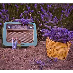 Organic Wild Lavender Candles | Scented Candles for Home | 6 oz 43 Hour Burn, Lavender Candle in Glass Jar