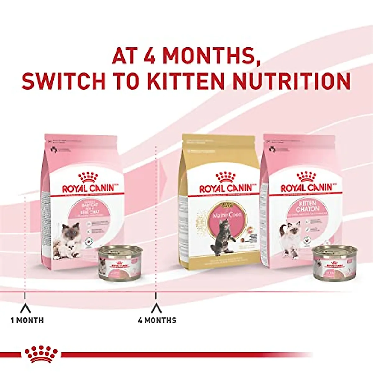 Royal Canin Feline Health Nutrition Mother & Babycat Dry Cat Food for Newborn Kittens and Pregnant or Nursing Cats, 6 lb Bag
