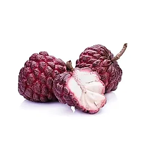 QAUZUY GARDEN 10 Sugar-Apple Seeds, Annona Squamosa Seeds, Custard Apple Seeds, Sweetsops, Grow Your Own Prolific Perennial Tropical Exotic Fruit Tree Plant