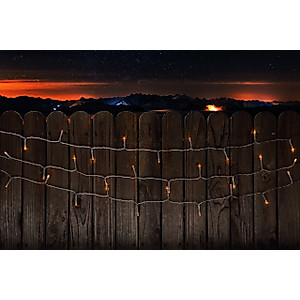 Novolink 100-Light LED Warm White String Light
