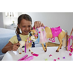 Barbie Groom 'N Care Horse Playset with Blond Doll, 2 Nodding Horses & 20+ Accessories, Style Color-Change Manes with Tool & Clips