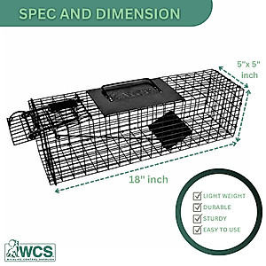Special Squirrel Standard Cage Trap - Heavy Duty Black Mesh Snare - Safe and Effective Squirrel Control for Commercial and Residential Use - Great for Barns, Garages & Sheds