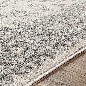 Hauteloom Rockfall Hallway, Kitchen Runner Rug - Traditional - Gray, Beige - 2'7" x 7'3"