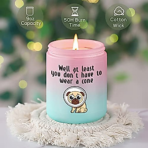 Miracu Scented Candles - Funny Get Well Soon Gifts for Women, Men - Post Surgery Recovery, After Surgery Gifts for English Bulldog Lover, Friends, Him, Her - Cute Comfort Gifts for Patients, Dog Mom