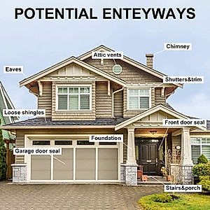 Steel Wool for Mice Control 2 Pack 2.2" x 16Ft with Gloves,DIY Fill Fabric Kit for Gap Blocker, Vents, and Wall Cracks, Flexible and Durable, Ideal for Garden, House, Garage, Keeps Mice Away