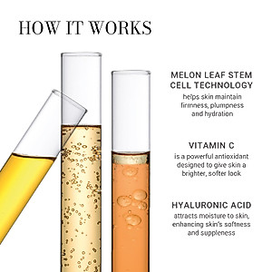 Meaningful Beauty Anti Aging Daily Skincare System, 1.01 Pound (Pack of 1)