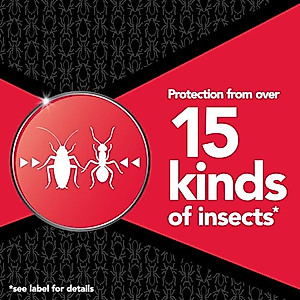 Raid MAX Perimeter Protection, 1 Gallon, Indoor & Outdoor Insecticide Spray with Reusable Electric Sprayer