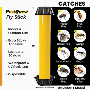 Sticky Fly Stick (6 Pack), Fly Stick for Mosquitoes, Sticky Trap for Flies Gnats Wasp Flying Insects, Bug Catcher, Indoor or Outdoor Use, Ready to Use Home