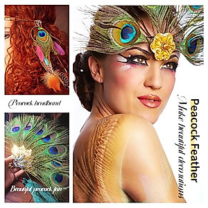 iHUFeather 10PCS Real Natural Peacock Eye Feathers 10-12 inch for DIY Craft Floral Arrangements,Wedding,Home and Party Decorations Feathers,Natural