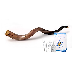 SHOFAR 36-38" Extra Large Yemenite Kudu Horn Full Polished + Anti Odor Spray + Brush + BAG From Israel