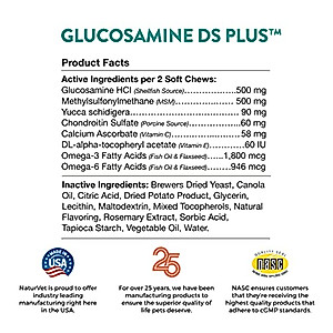 NaturVet – Glucosamine DS Plus - Level 2 Moderate Care – Supports Healthy Hip & Joint Function – Enhanced with Glucosamine, MSM & Chondroitin – for Dogs & Cats–120 Soft Chews