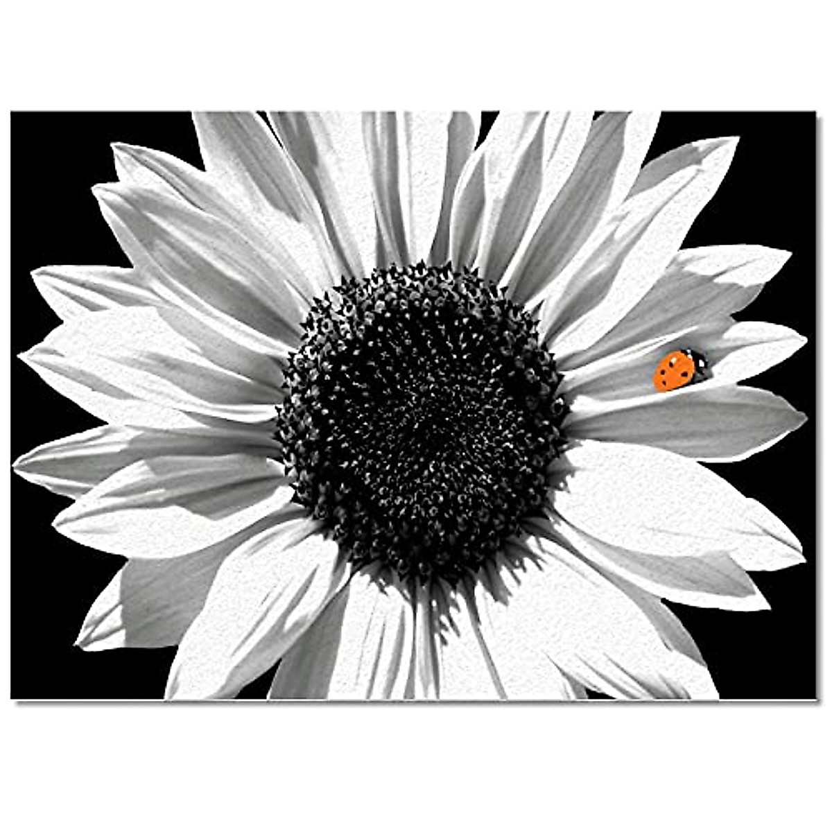 Aomike Indoor Area Rug Doormat- Sunflower in Black and White Ladybug and Flower Contemporary Rug for Living Room/Bedroom/Front Porch/Hallway/Farmhouse, 2'7"x5'