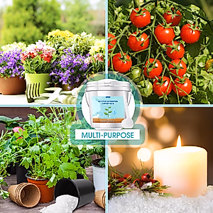 Oycevila 5LB Water Storing Crystals for Plants with Spoon, Water Gel Solves Plant Over-Watering and Drought Problems, Keeps The Soil Moist, Small Water Storing Polymer Crystals for Plants Candle